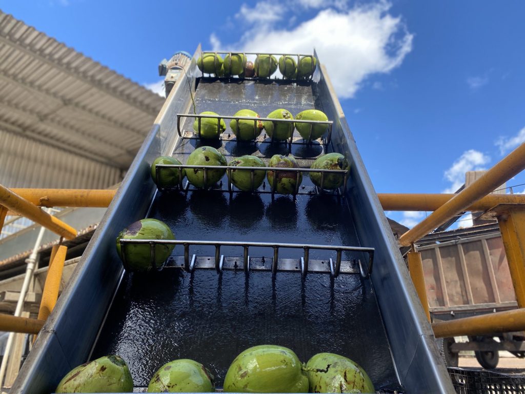 Empresa Dikoko investe R$ 196 milhões em Itapipoca - Focus Poder