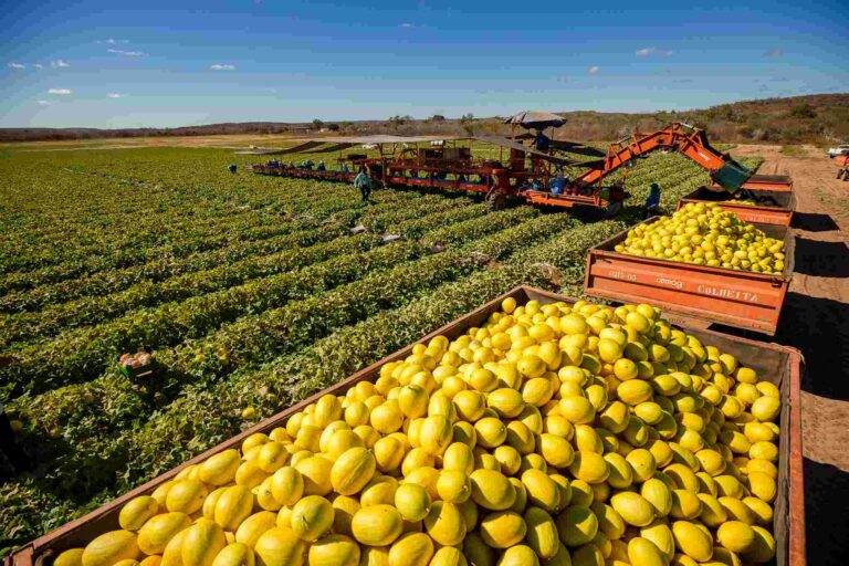 Ceará encerra 2025 com 49 mil novos empregos formais - Focus Poder